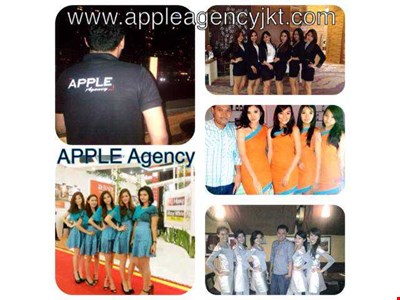 APPLE Agency Profil, Telepon, Alamat