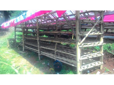 Rumah Cacing Profil, Telepon, Alamat