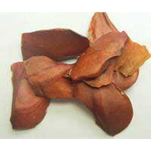 Jual Benih Bibit Pohon Mahoni ( Swietenia Macrophylla) oleh UD.Tani Jaya