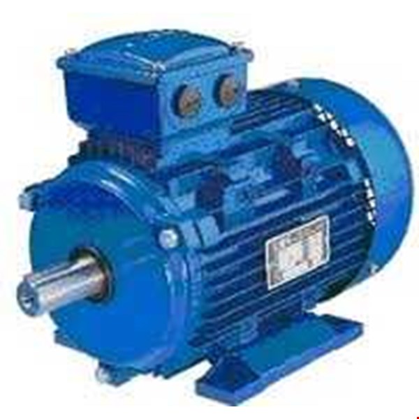 Jual CMG Motor ELECTRIC AC MOTOR & EXPLOSION PROOF MOTOR CMG MOTOR oleh ...
