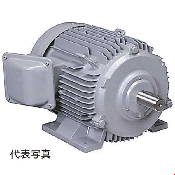Jual Hitachi Induction Motor TFOA-KK 4P 90KW oleh PT. ADI RAYA MANDIRI ...