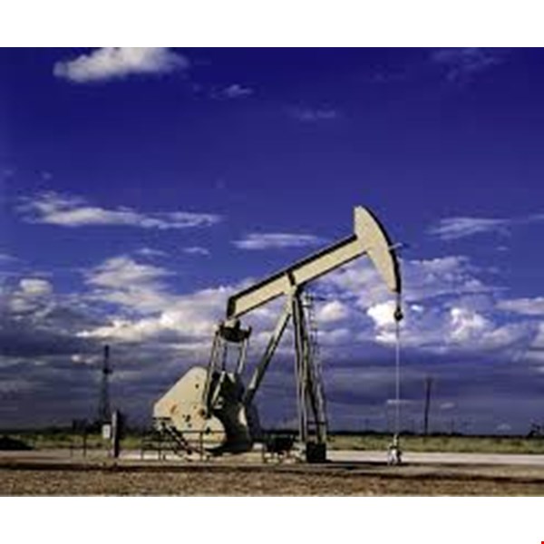 Jual PHPA - Drilling Polymer oleh PT. Nalpreme Technochem