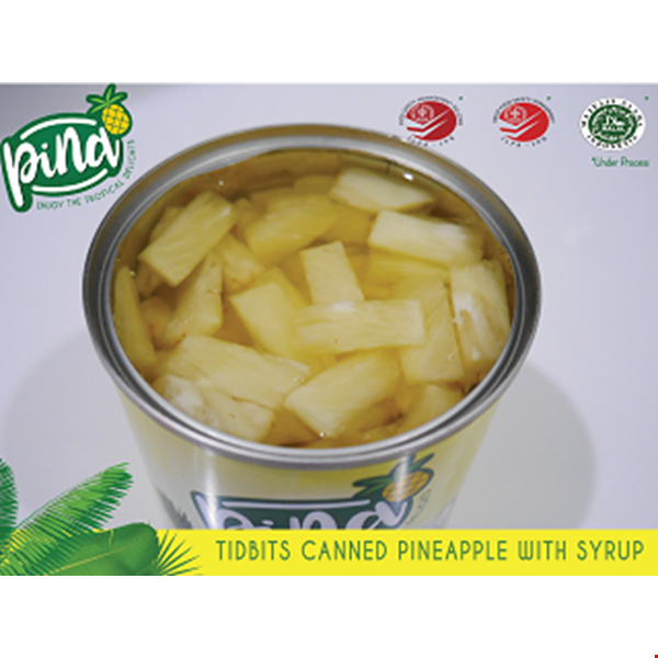 Jual Buah Nanas Kaleng (Pineapple Can) Pina oleh PT INDAH BERKAH MAKMUR