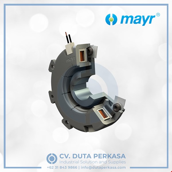 Jual MAYR Electromagnetic Clutch Brakes Model Quickbrake/Clutch oleh CV ...