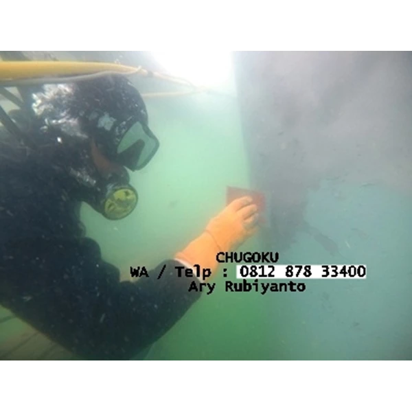 Jual Chugoku Underwater coating / cat didalam air Chugoku oleh PT ...