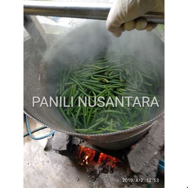 Jual PROSES PENGOLAHAN VANILI oleh panili/ vanili/ vanilla