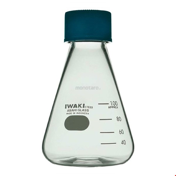 Jual IWAKI Glass Ware Erlenmeyer Flask With Screw Cap 4985FK250-33 ...