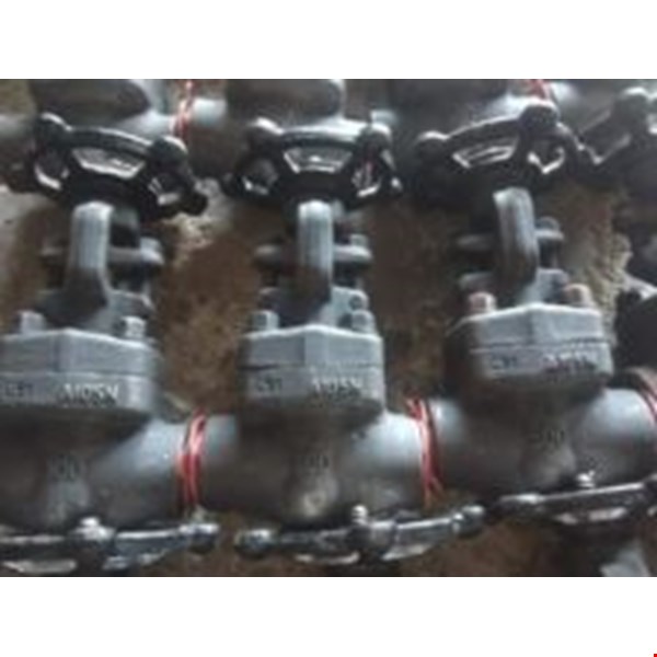 Jual Gate Valve A105 #800 SHORITSU oleh PT. Tama Hayati Sukses Mandiri