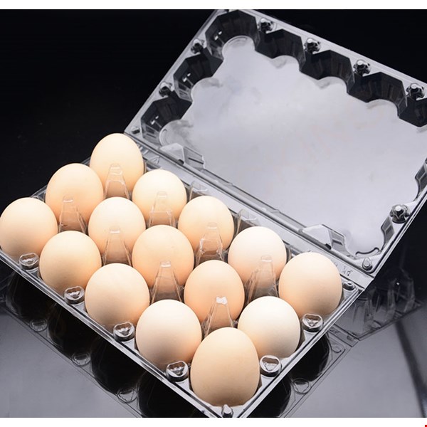 Jual Tray Telur 15 Cavity oleh PT. Vacpack Indonesia