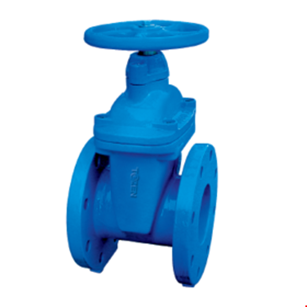 Jual Tozen Gate Valve oleh PT. Zahra Inti Retsuna