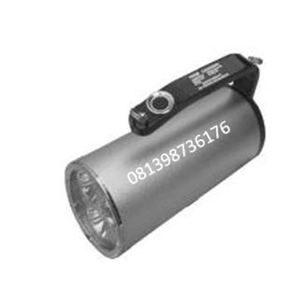 Distributor senter Explosionproof Tormin BW7101 Indonesia oleh PT ...
