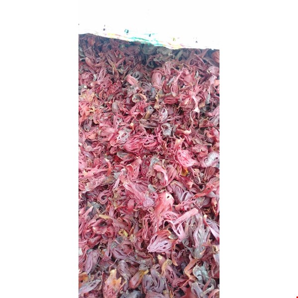 Jual Fuli atau MACE ini rempah-rempah yang diminati Eropa& India oleh ...