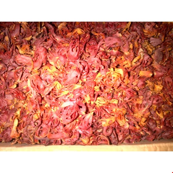 Jual Fuli atau MACE ini rempah-rempah yang diminati Eropa& India oleh ...