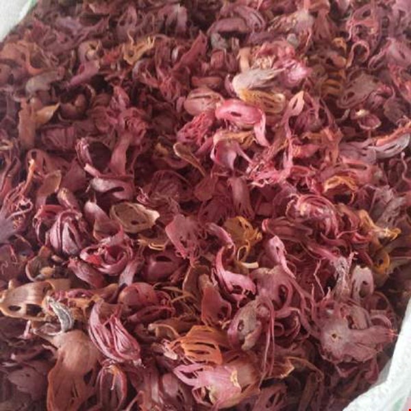 Jual Fuli atau MACE ini rempah-rempah yang diminati Eropa& India oleh ...