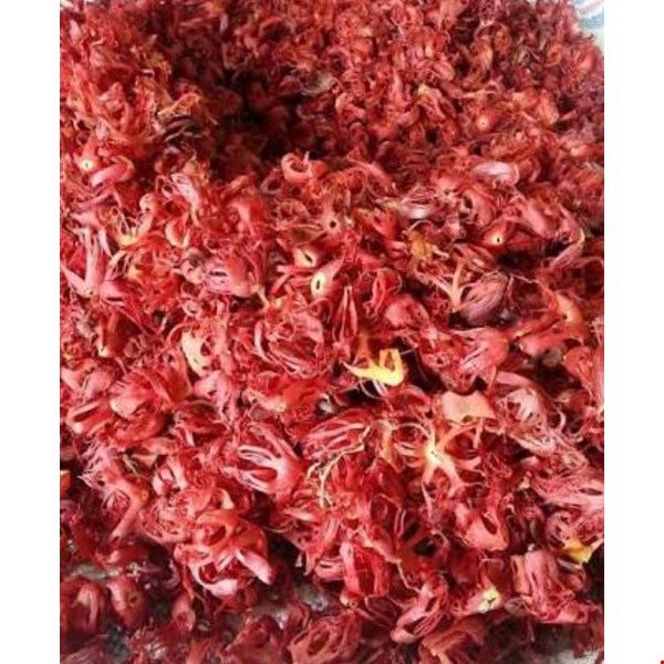 Jual Fuli atau MACE ini rempah-rempah yang diminati Eropa& India oleh ...