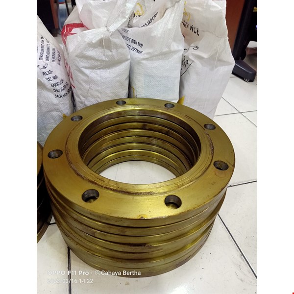 Jual Flange Las 8 PN 10 oleh PT. Bertha Sinar Teknik