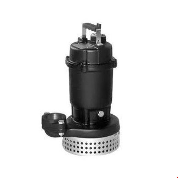 Distributor Pompa Air Celup EBARA Type DS oleh PT. Gajah Unggul Pratama