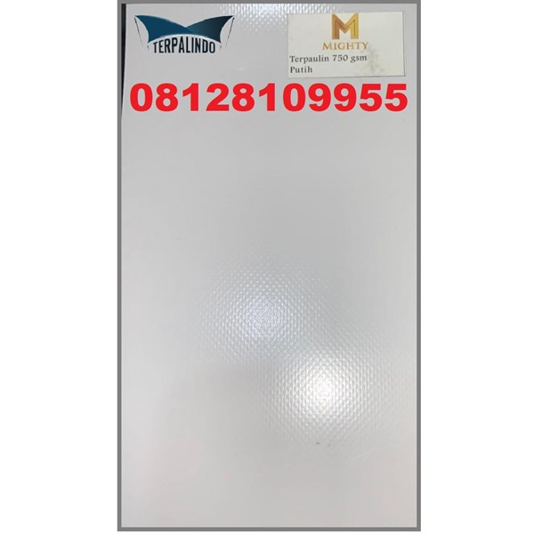 Jual TERPAL MIGHTY 750 gsm oleh PT. Terpalindo Mitra Niaga