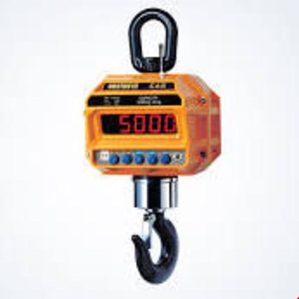 Jual Timbangan Digital CAS Caston-III 50 Ton Murah Bergaransi oleh CV ...