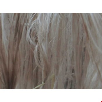 Jual SERAT ABACA Jawa Barat - PT.KOPSOS INDUSTRI SUBANG | Indonetwork