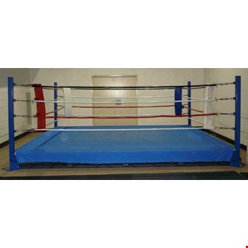 Jual Sewa Ring Tinju Jawa Barat - DS Boxing Equipment | Indonetwork