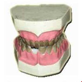 Jual MODEL PHANTOM GIGI DKI Jakarta - CV. DUTA MEDICA SARANA | Indonetwork