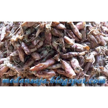 Jual Cumi Jarum DKI Jakarta - MEDAN SAJA | Indonetwork