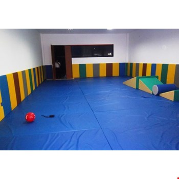 Jual Wall Padding/ Busa Pelapis Dinding Jawa Barat - JACK N GYM ...