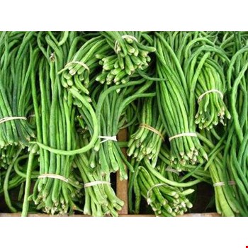 Jual Sayur-Mayur dan Buah-buahan Jawa Barat - UD.TSHOP JAYA | Indonetwork