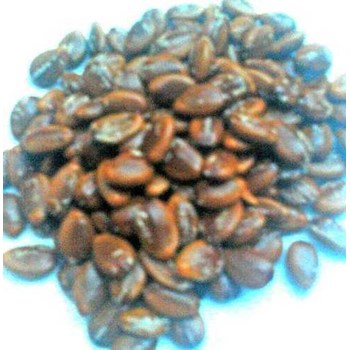 Jual Biji Trengguli dan Buah Trengguli - Cassia Fistula Jawa Tengah ...