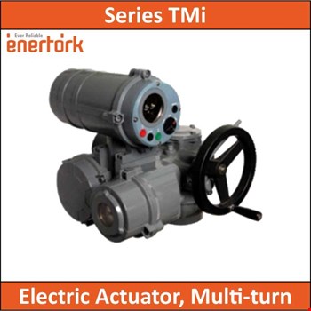 Jual ENERTORK - Series TMi - Electric Actuator, Multi-turn Jawa Timur ...
