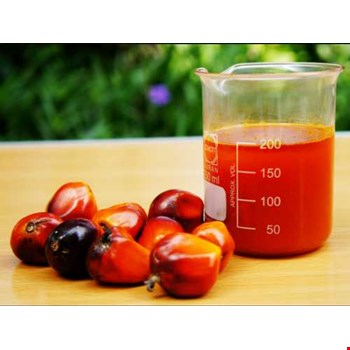Jual CPO / crude palm oil/ limbah cpo Jawa Timur - CV.WANTRAINDO ...