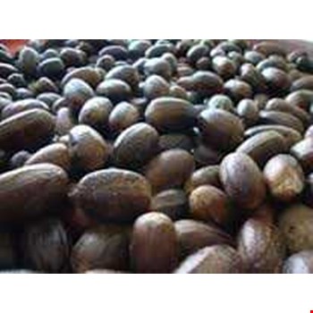 Jual Biji Pala Lonjong Jawa Timur - PT. AGA | Indonetwork