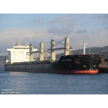 Jual Bulk Vessel Bulk Carrier 50000 DWT Mother Vessel Bulk Carrier ...