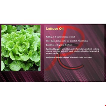 Jual Lettuce Oil (Minyak Selada) Jawa Timur - Rocchem Jaya Santosa ...