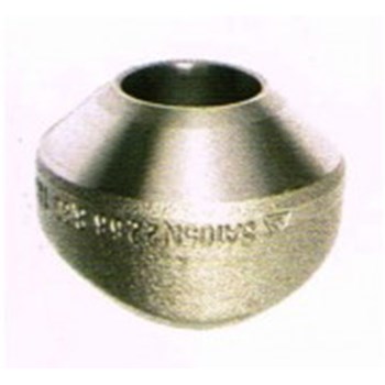 Jual FORGED FITTING WELDOLET DKI Jakarta - SAHARA SUKSES MANDIRI ...