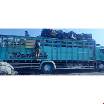 Jasa Pengiriman Mobil Losbak DKI Jakarta - Wullinary Global Indonesia ...