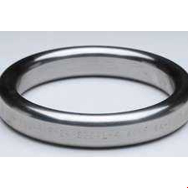 Metal Ring Joint Gasket RTJ Conseal oleh Petrogasindo Sentral Parts di ...