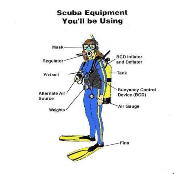 alat selam, peralatan selam, alat diving, perlengkapan diving. oleh ...
