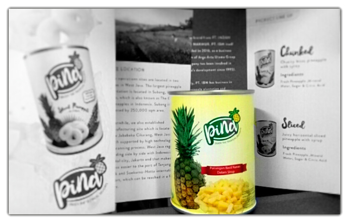 Jual Buah Nanas Kaleng (Pineapple Can) Pina oleh PT INDAH BERKAH MAKMUR