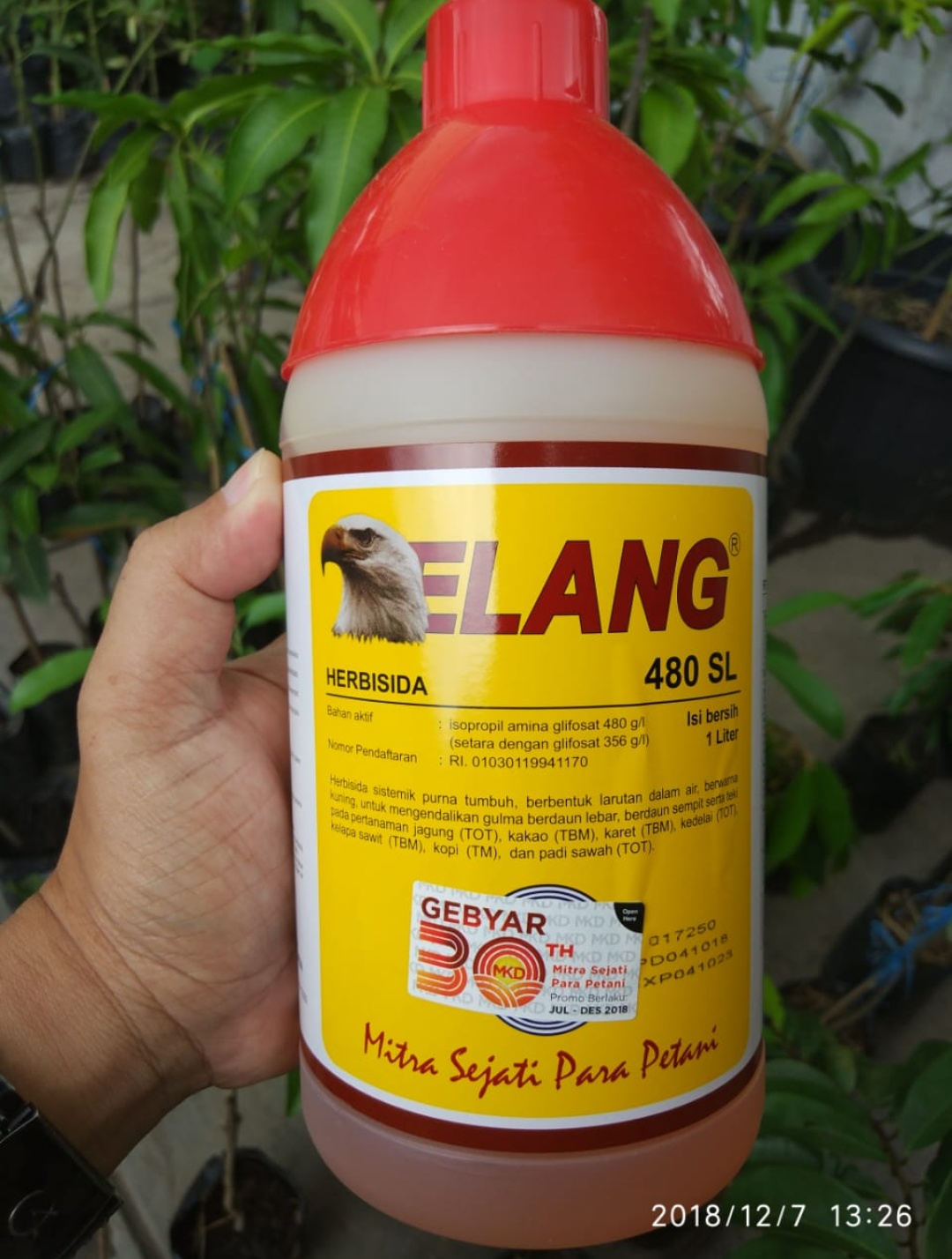Jual Herbisida Elang 480 SL oleh PT. Agro Dahlia Profitamas