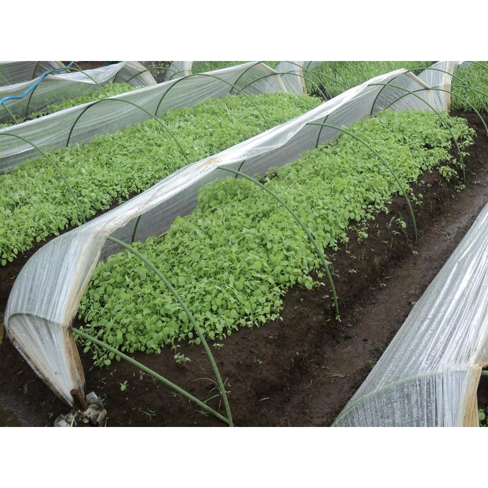 Jual Sungkup Modern Takiron oleh PT. Agro Dahlia Profitamas