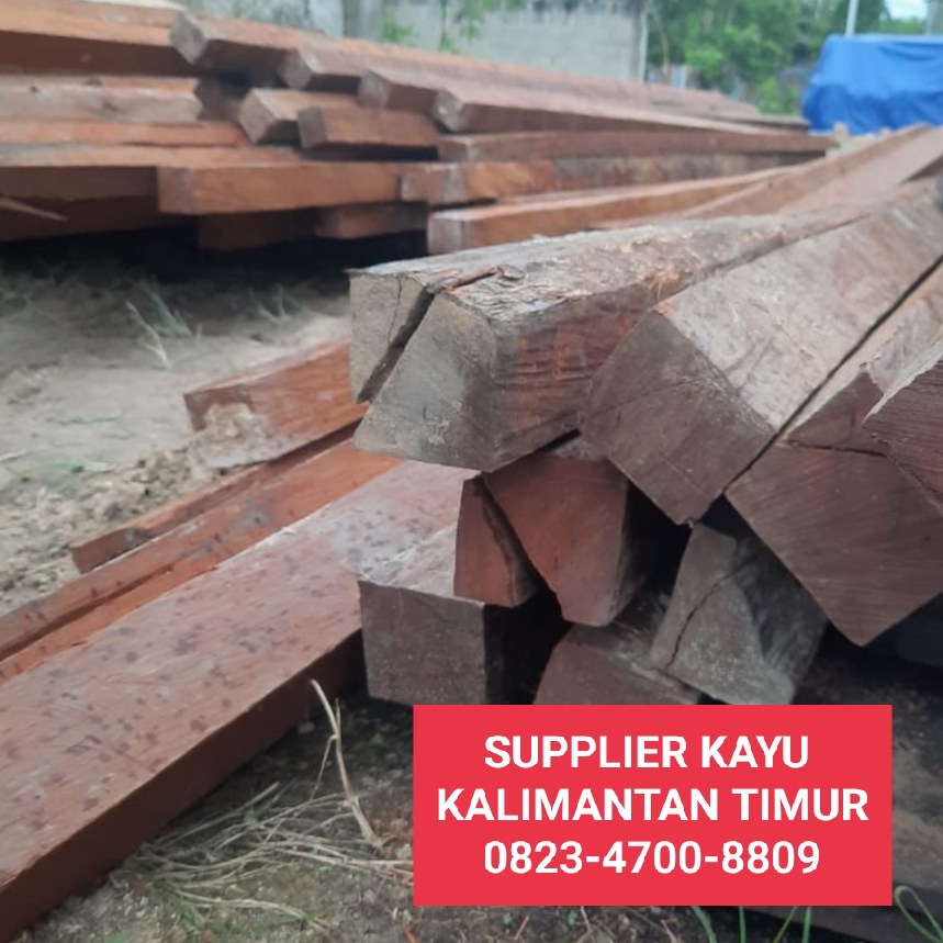 SUPPLIER KAYU ULIN KAYU MERANTI KAYU KAPUR TERMURAH KALIMANTAN oleh PT ...