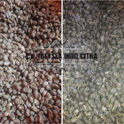 Jual Arabica Toraja Green Bean Coffee oleh CV. Freysea Indo Citra